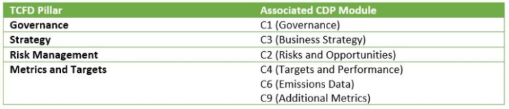 CDP VS. TCFD - Climate Risk Reporting Strategy - Riveron