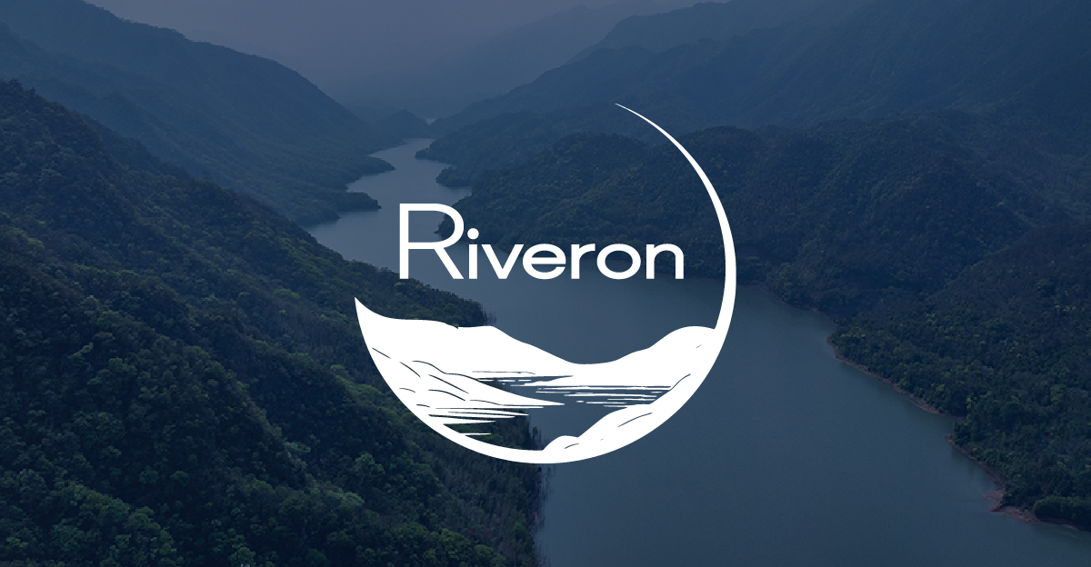 Professional Services for Businesses | Riveron